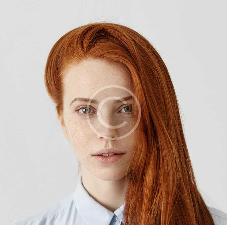 Lisa Morrison - Fireworks Studio